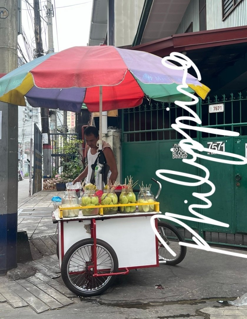 Philippines Diary – Wandering Teresa