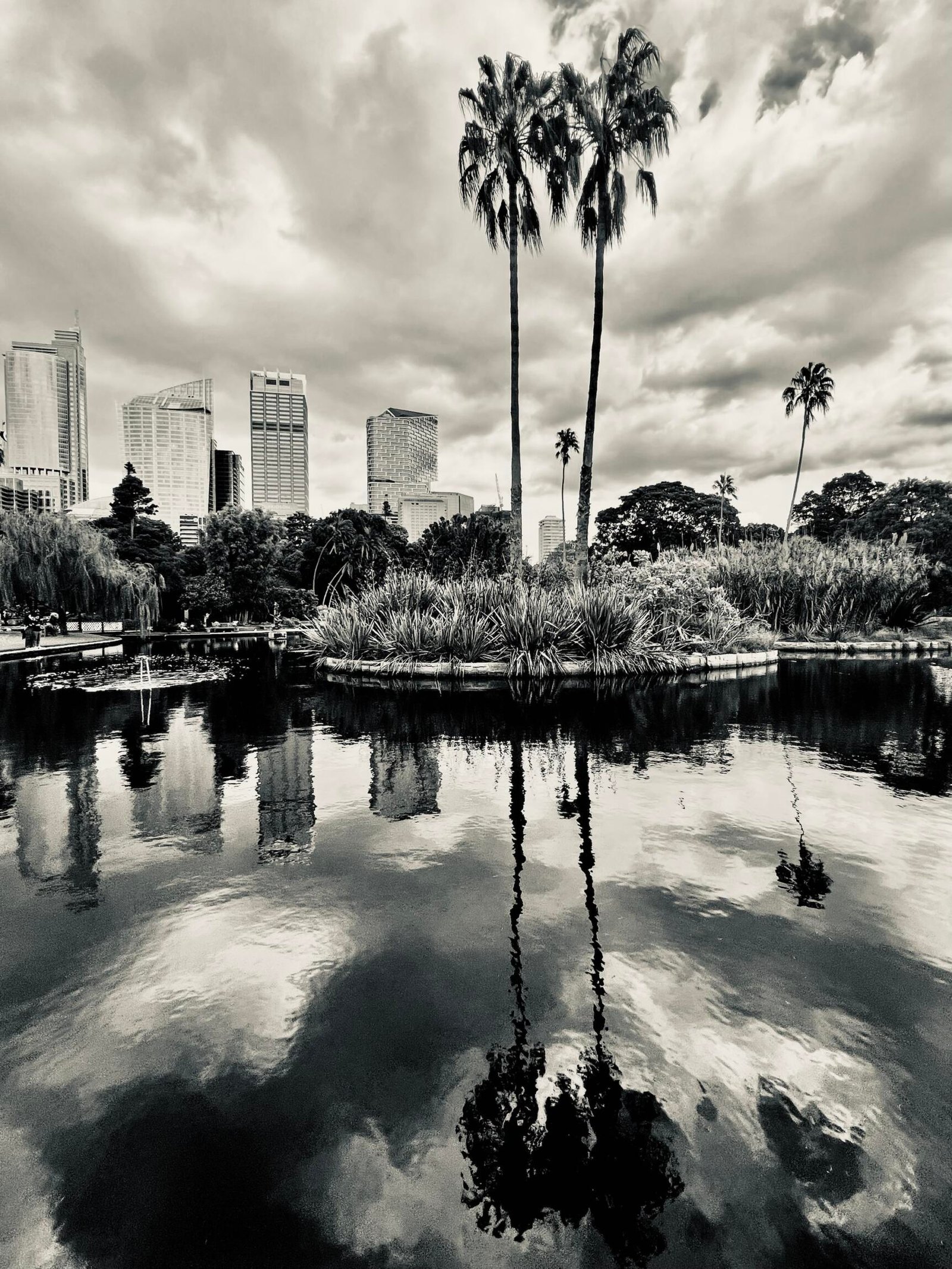 Monochrome Trees – Wandering Teresa