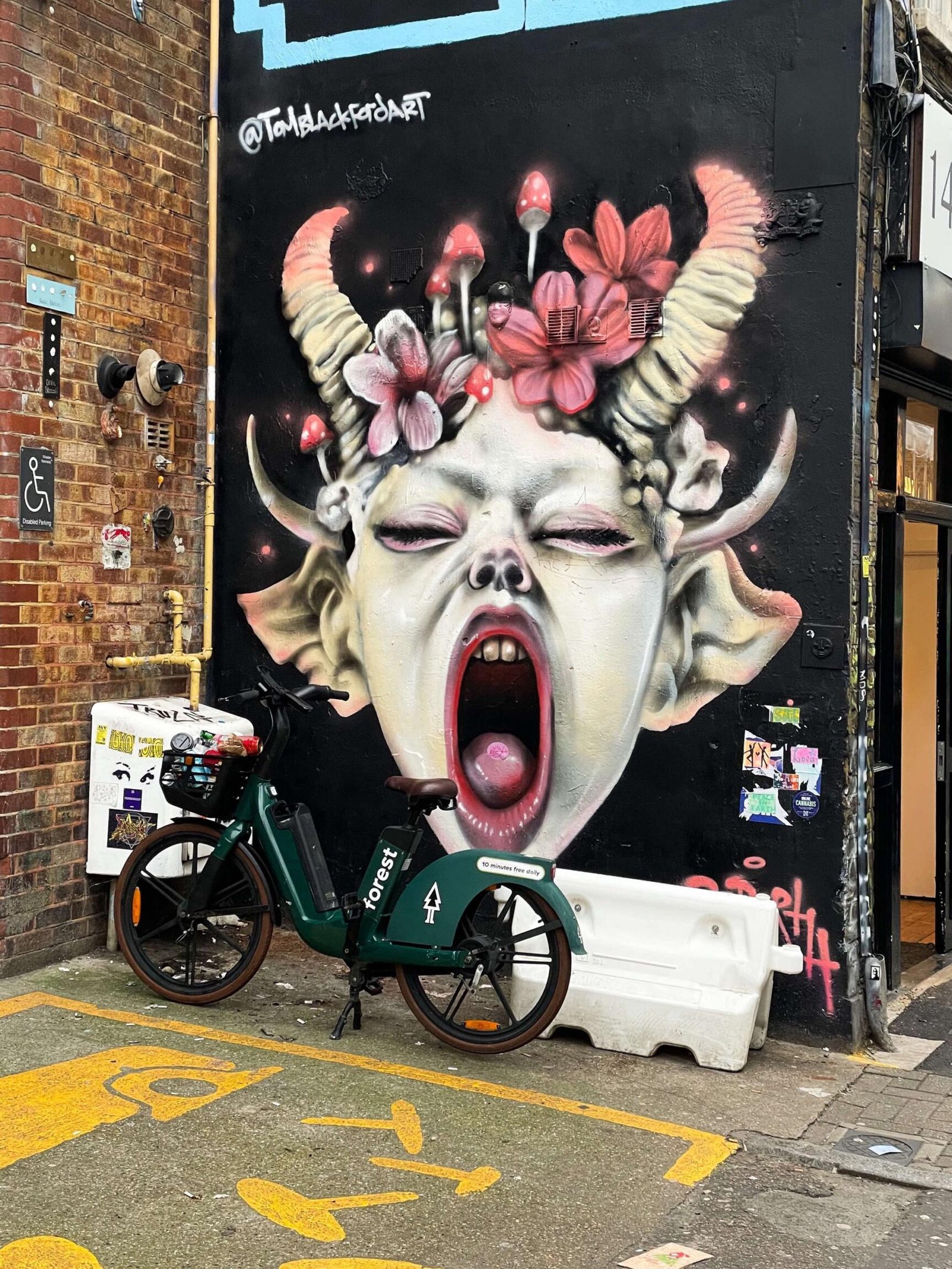Tuesday Streetart Faces – 74 – Wandering Teresa