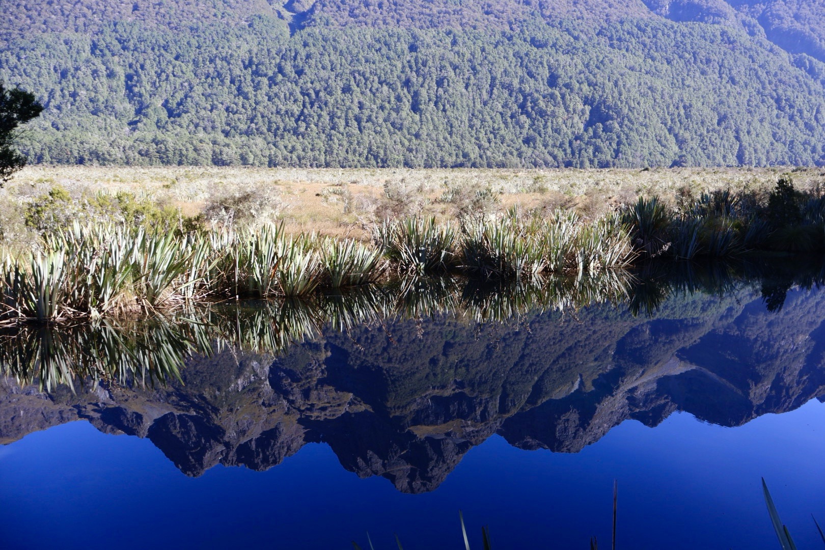 The Mirror Lakes – Wandering Teresa