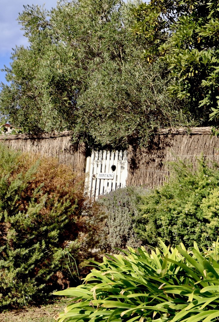 Backstreet Doors – Wandering Teresa