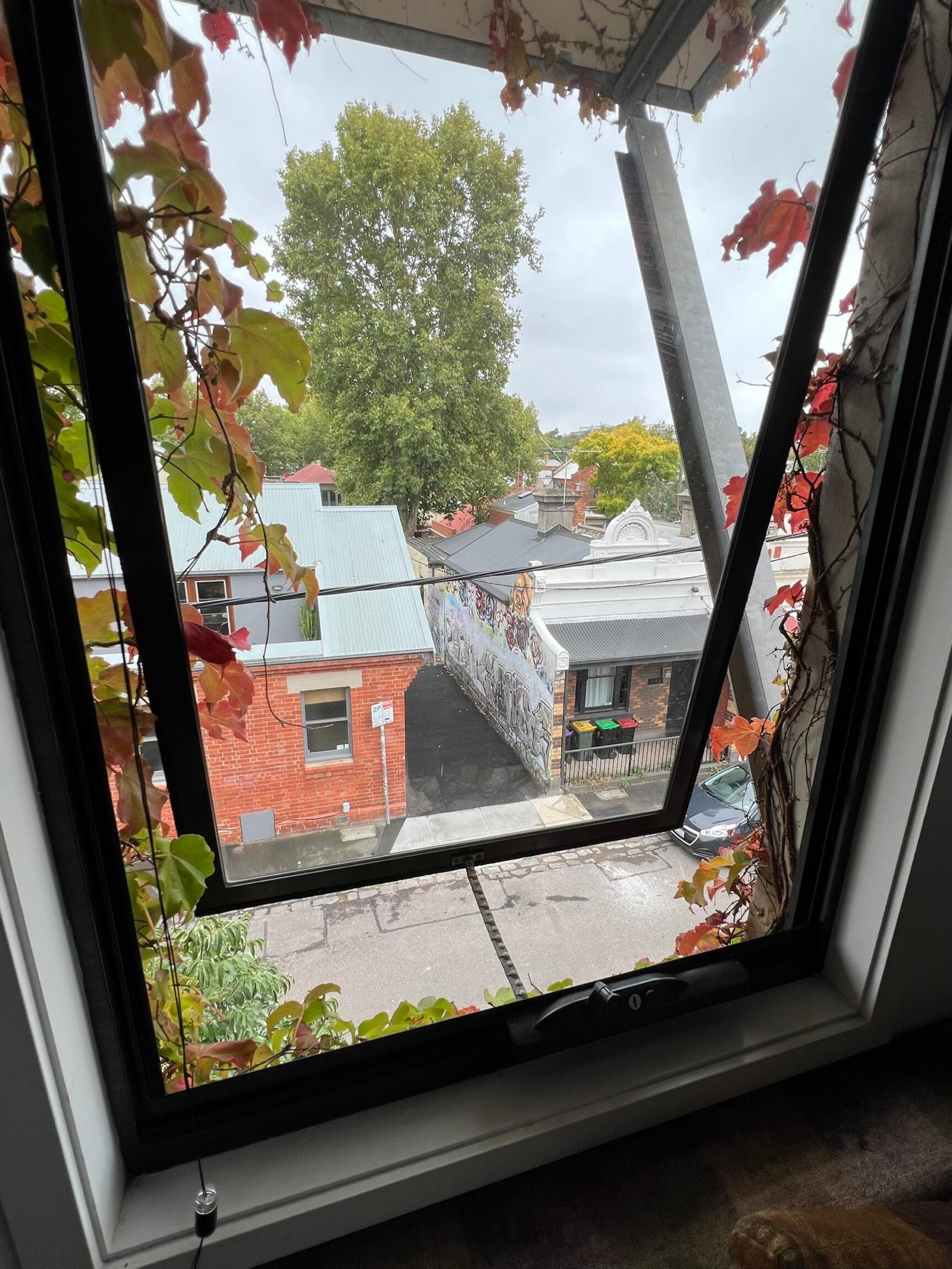 Looking in and out through the window – Wandering Teresa
