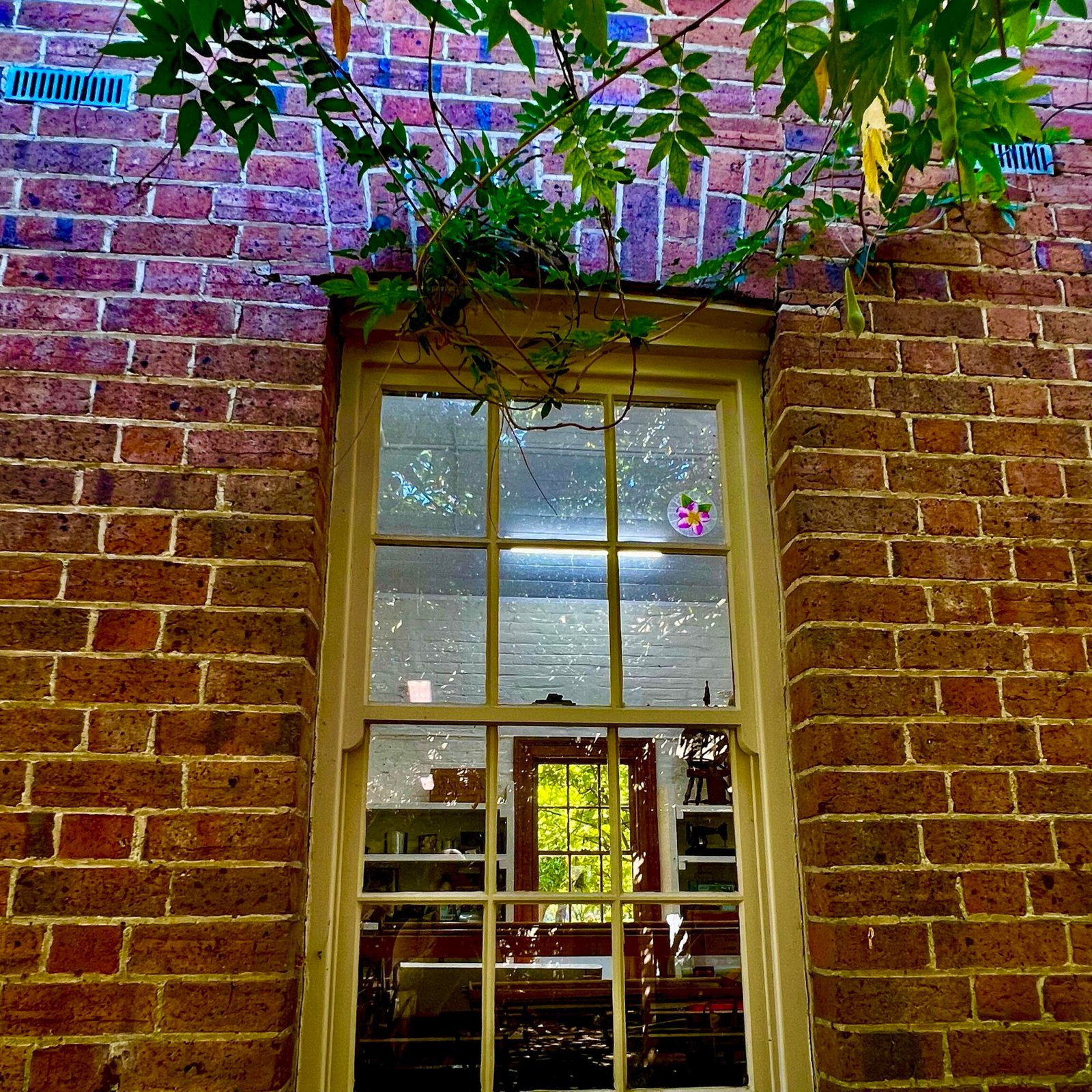 Window within a Window – Wandering Teresa