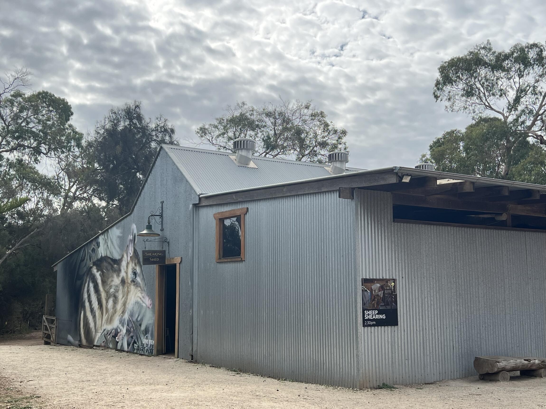 My Go-to Place: Phillip Island – Wandering Teresa