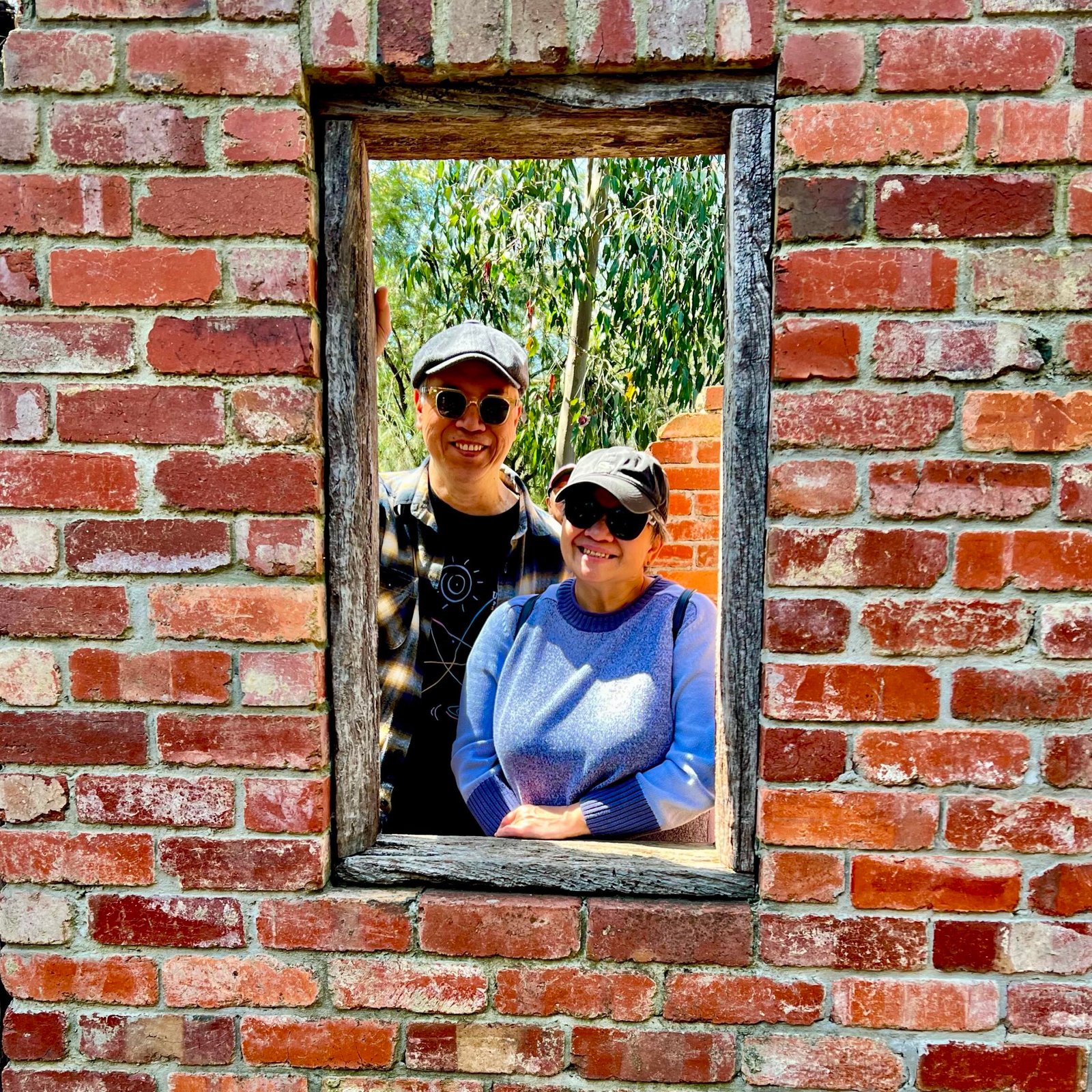 Hello from my window to yours – Wandering Teresa