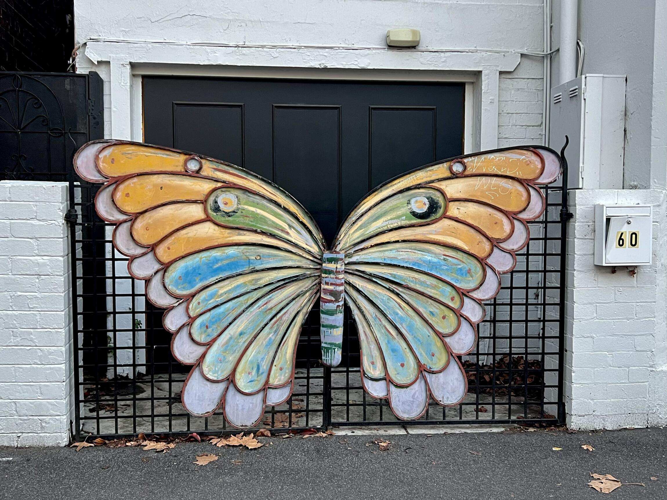 Butterfly door – Wandering Teresa