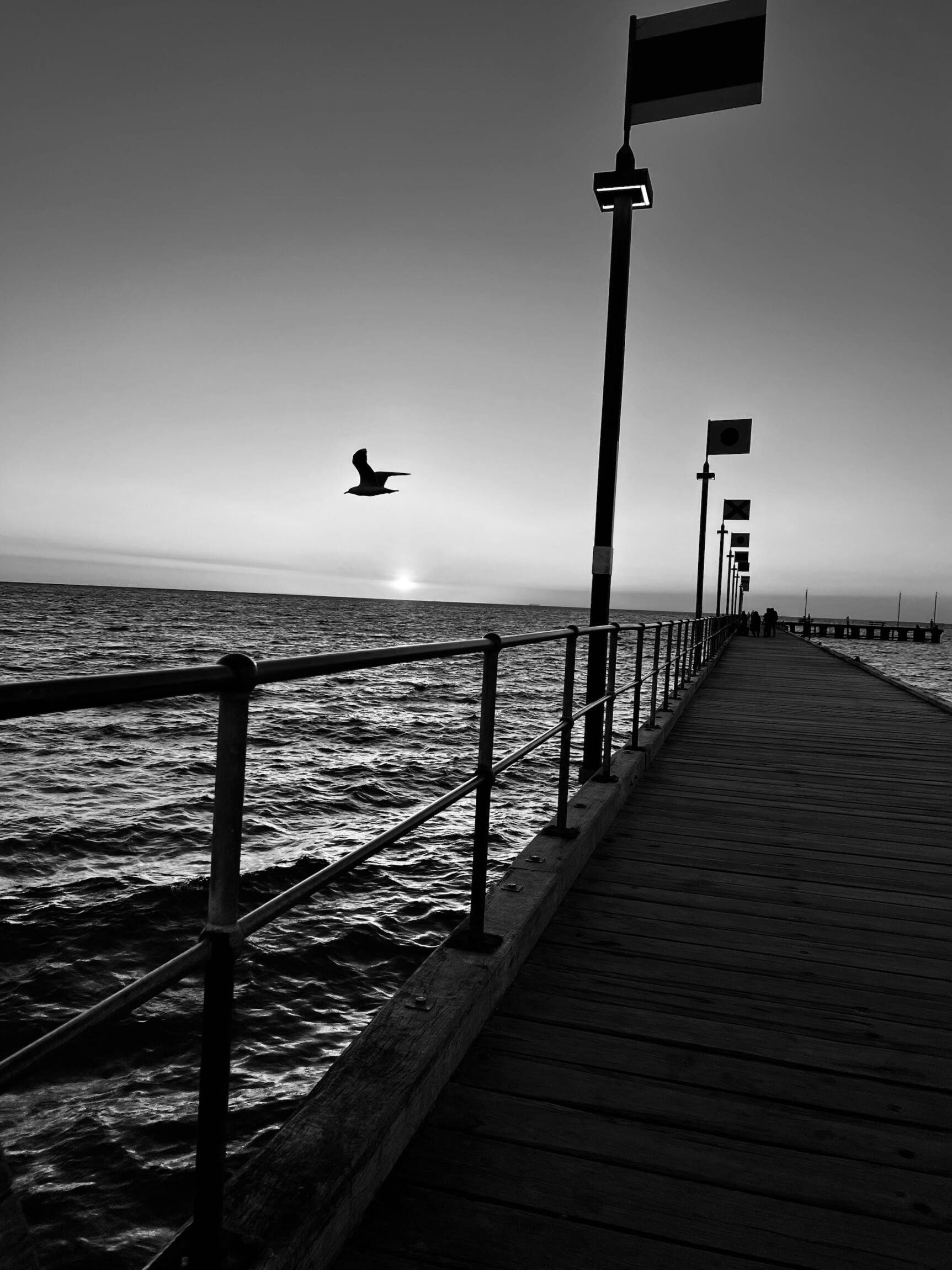 Monochromes at the Beach – Wandering Teresa